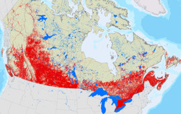 Logging and Forests | The Common Sense Canadian
